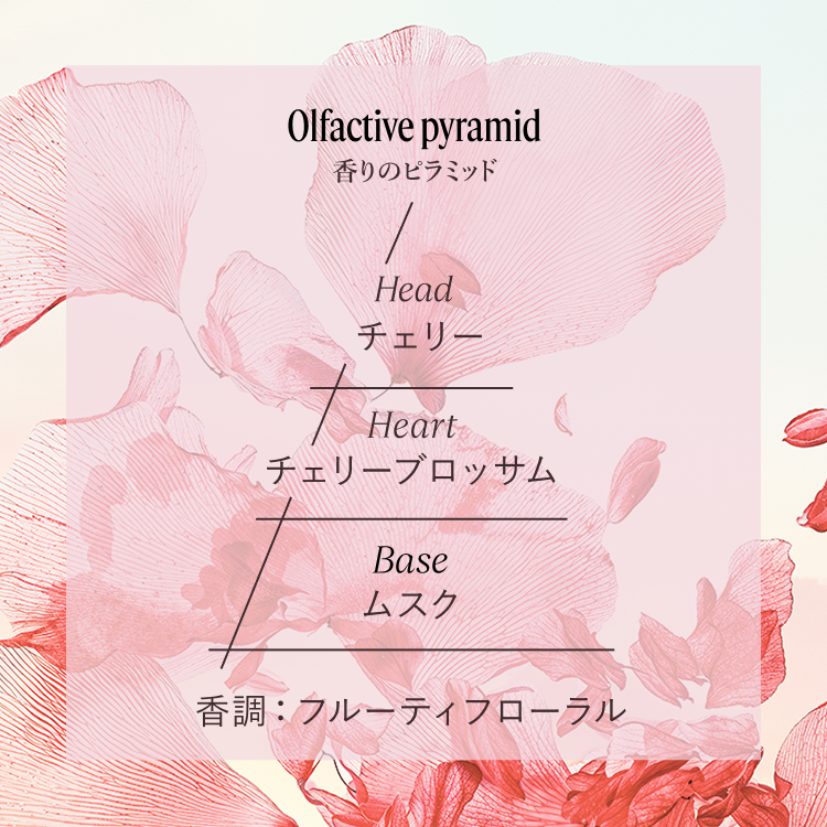 フルールドスリジエサクラ（チェリーブロッサム） - ART OF SCENT(ロクシタンのフレグランス) | L’Occitane JP